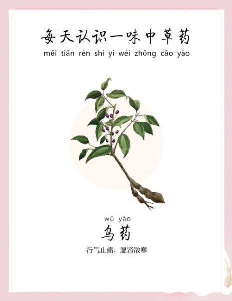 乌药的功效与作用及副作用_乌药可以长期吃吗-第3张图片-山城妙识