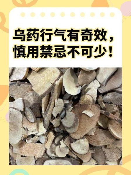 乌药的功效与作用及副作用_乌药可以长期吃吗-第2张图片-山城妙识