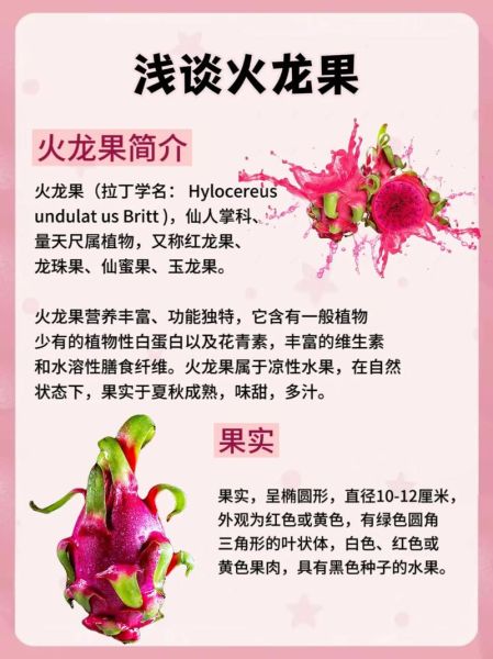 火龙果的营养价值及功效_吃火龙果有哪些好处-第1张图片-山城妙识