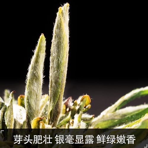 黄山毛峰礼盒多少钱_黄山毛峰礼盒价格表-第3张图片-山城妙识