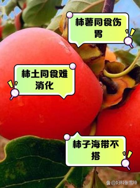 吃柿子不能吃什么食物相克_柿子与哪些食物同食会中毒-第3张图片-山城妙识 吃柿子不能吃什么食物相克_柿子与哪些食物同食会中毒-第3张图片-山城妙识