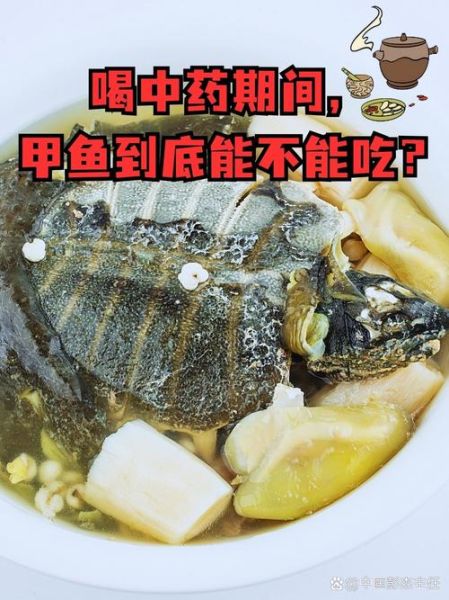 甲鱼为什么不能放生姜_甲鱼炖汤禁忌-第1张图片-山城妙识 甲鱼为什么不能放生姜_甲鱼炖汤禁忌-第1张图片-山城妙识