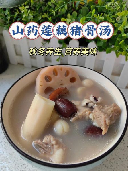 莲藕山药排骨汤的功效_适合什么人喝-第2张图片-山城妙识