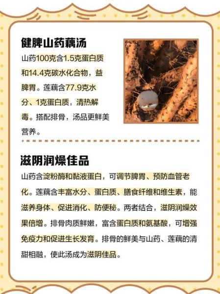 莲藕山药排骨汤的功效_适合什么人喝-第1张图片-山城妙识