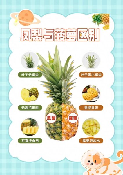 菠萝是不是凤梨_区别与选购技巧-第3张图片-山城妙识