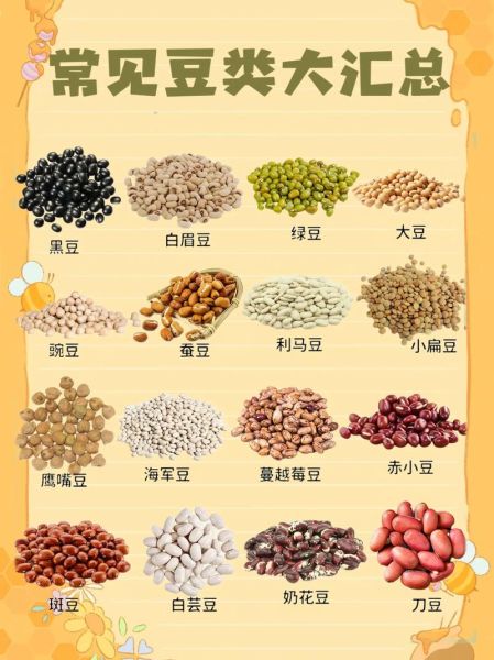 豆类品种大全及名称_常见豆类有哪些-第1张图片-山城妙识