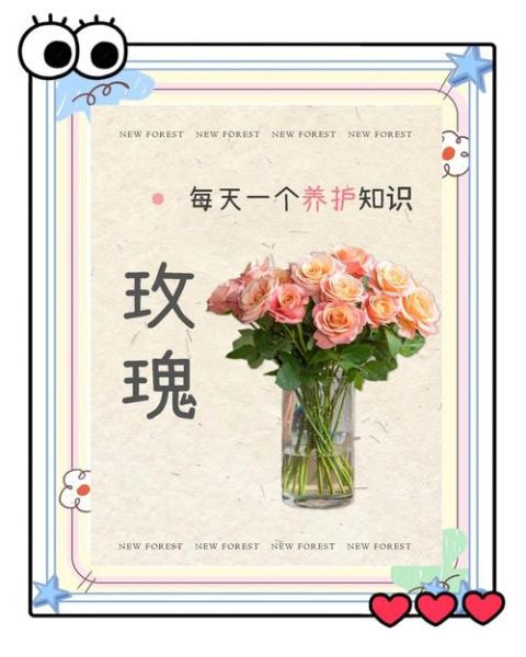 玫瑰花怎么养_玫瑰花语有哪些-第1张图片-山城妙识