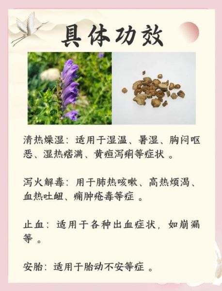 清热解毒的药有哪些_常见中成药与草药全解析-第1张图片-山城妙识