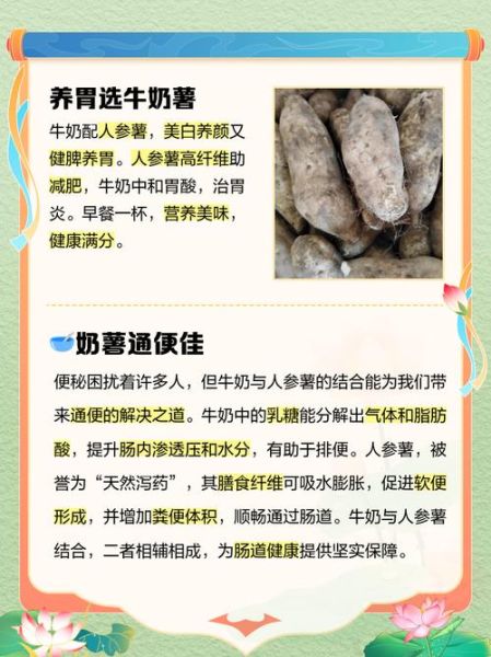 地瓜人参可以一起吃吗_食用禁忌与科学吃法-第1张图片-山城妙识