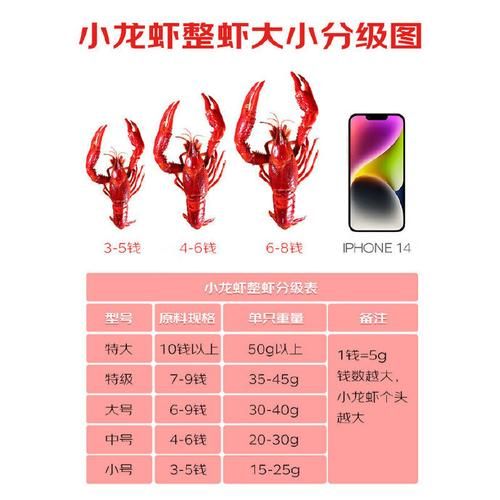 麻辣小龙虾多少钱一斤_哪里能买到正宗口味-第1张图片-山城妙识