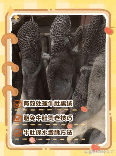 牛肚怎么洗_牛肚黑毛去除方法-第3张图片-山城妙识