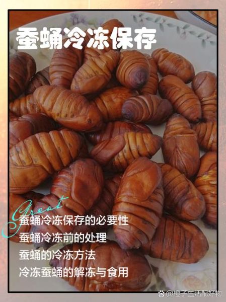 活蚕蛹怎么保存_活蚕蛹可以冷冻吗-第2张图片-山城妙识