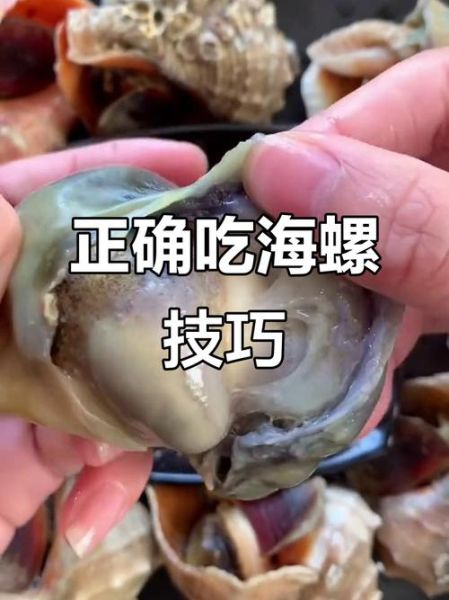 海螺哪里不能吃_海螺内脏图解-第1张图片-山城妙识