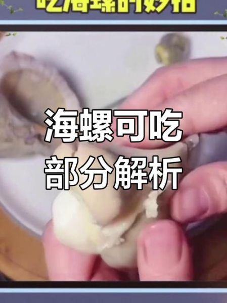 海螺哪里不能吃_海螺内脏图解-第3张图片-山城妙识