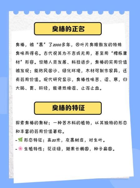 臭椿树根熬水洗痔疮真的有用吗_臭椿树根治痔疮偏方靠谱吗-第1张图片-山城妙识 臭椿树根熬水洗痔疮真的有用吗_臭椿树根治痔疮偏方靠谱吗-第1张图片-山城妙识