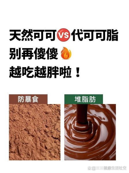 代可可脂的危害有哪些_代可可脂的好处是什么-第1张图片-山城妙识