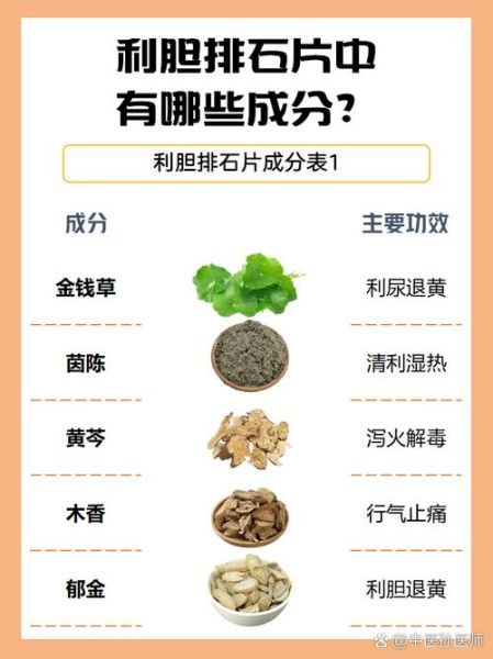 胆结石吃什么药能排掉_胆结石排石药有哪些-第2张图片-山城妙识 胆结石吃什么药能排掉_胆结石排石药有哪些-第2张图片-山城妙识