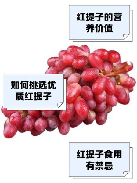红提子图片怎么拍_红提子品种有哪些-第1张图片-山城妙识