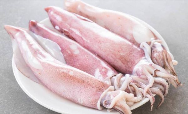 鱿鱼图片_鱿鱼高清照片怎么拍-第2张图片-山城妙识