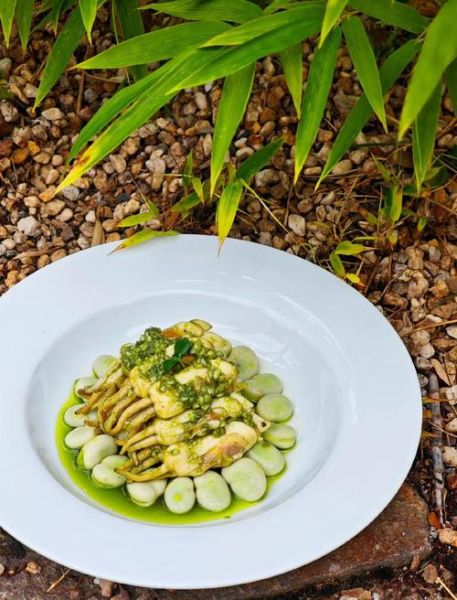 蛏子肉怎么炒好吃_蛏子肉的家常做法-第2张图片-山城妙识