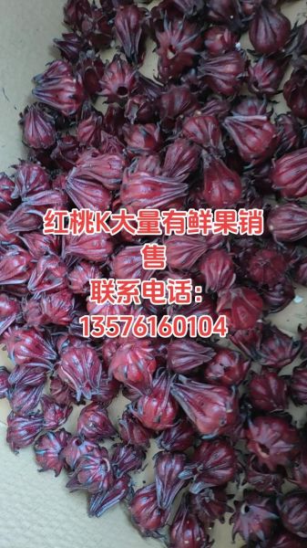 红桃k果多少钱一斤_红桃k果价格行情-第2张图片-山城妙识