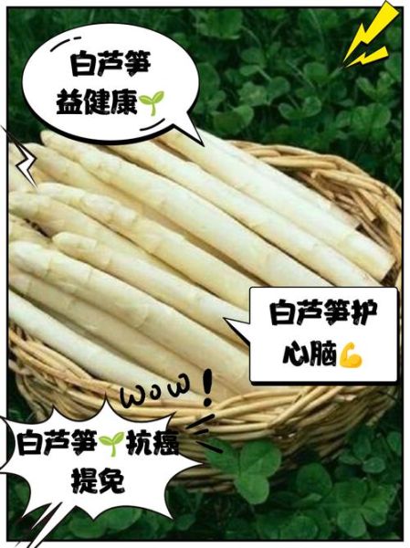 白芦笋的功效与作用_白芦笋的禁忌有哪些-第1张图片-山城妙识