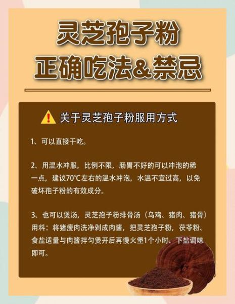 灵芝的功效与作用_灵芝孢子粉怎么吃-第2张图片-山城妙识 灵芝的功效与作用_灵芝孢子粉怎么吃-第2张图片-山城妙识