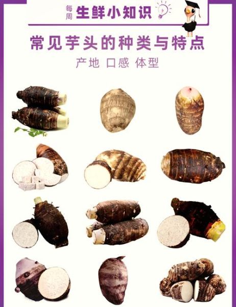 香芋长什么样子_香芋和芋头区别-第2张图片-山城妙识