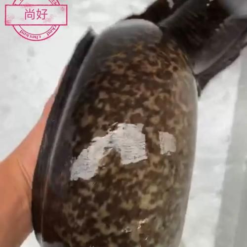 鳗鱼的营养价值_家常做法怎么做-第3张图片-山城妙识 鳗鱼的营养价值_家常做法怎么做-第3张图片-山城妙识