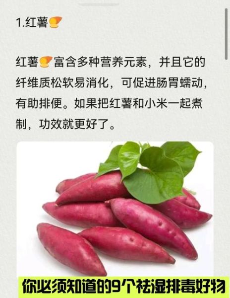 祛湿排毒养颜的食物有哪些_怎么吃最有效-第2张图片-山城妙识 祛湿排毒养颜的食物有哪些_怎么吃最有效-第2张图片-山城妙识