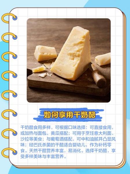 手工奶酪干怎么做_自制奶酪干能放多久-第1张图片-山城妙识