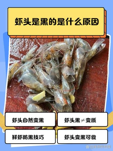 虾头变黑能吃吗_虾头变黑的原因-第1张图片-山城妙识