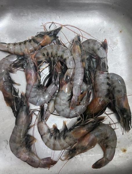 虾头变黑能吃吗_虾头变黑的原因-第3张图片-山城妙识