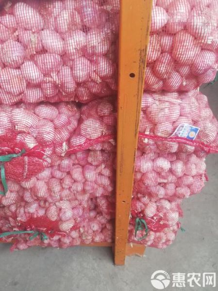 杞县大蒜冷库价格今天多少钱_杞县大蒜冷库价格行情-第1张图片-山城妙识