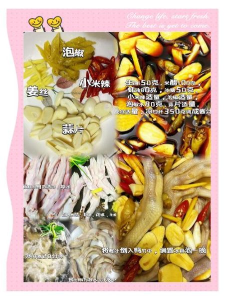 泡鸭爪的做法_泡鸭爪怎么保存-第2张图片-山城妙识