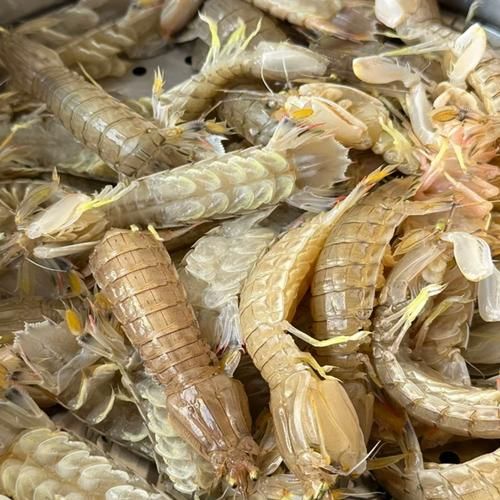 冰冻皮皮虾怎么做好吃_冰冻皮皮虾蒸还是煮-第1张图片-山城妙识