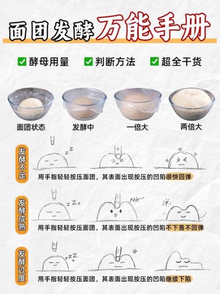 发酵粉的主要成分是小苏打吗_发酵粉和小苏打的区别-第2张图片-山城妙识 发酵粉的主要成分是小苏打吗_发酵粉和小苏打的区别-第2张图片-山城妙识