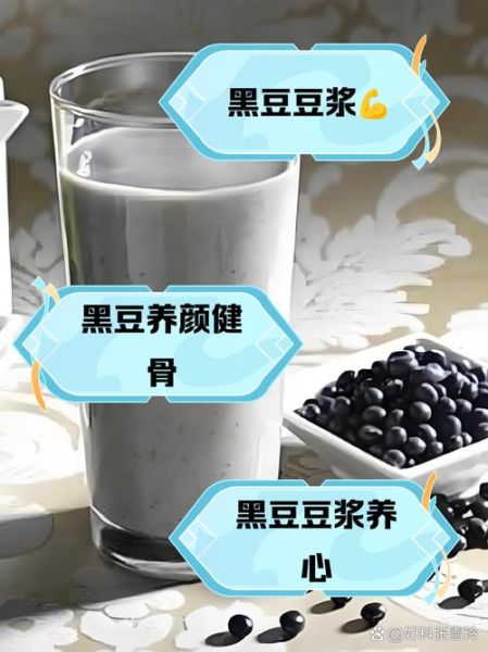 黑豆打豆浆吃了有什么好处_黑豆豆浆的功效与作用-第2张图片-山城妙识