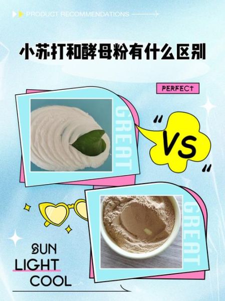 发酵粉的主要成分是小苏打吗_发酵粉和小苏打的区别-第1张图片-山城妙识 发酵粉的主要成分是小苏打吗_发酵粉和小苏打的区别-第1张图片-山城妙识