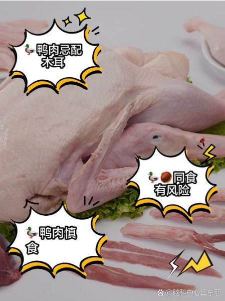 鸭肉和什么搭配最好_鸭肉不能和什么一起吃-第2张图片-山城妙识