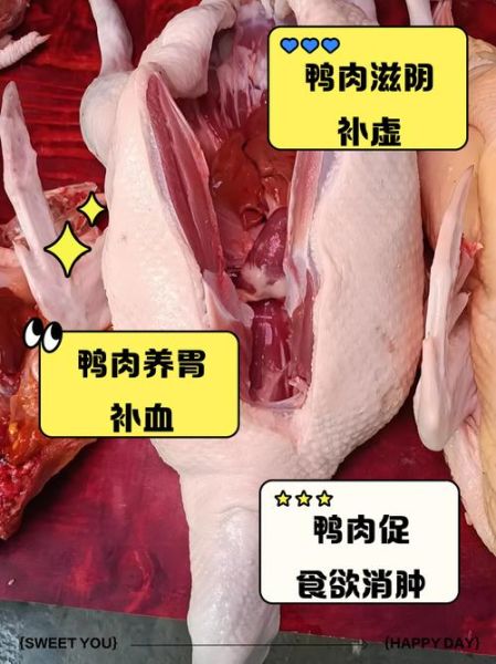 鸭肉和什么搭配最好_鸭肉不能和什么一起吃-第3张图片-山城妙识