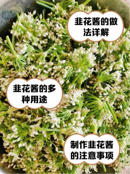 韭菜花酱怎么做_韭菜花酱的做法步骤-第1张图片-山城妙识 韭菜花酱怎么做_韭菜花酱的做法步骤-第1张图片-山城妙识