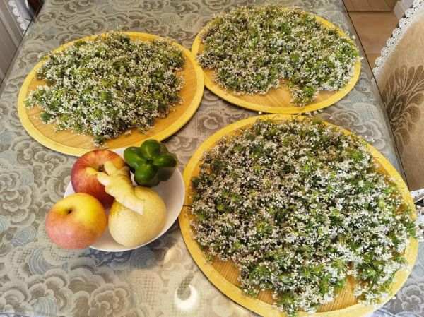 韭菜花酱怎么做_韭菜花酱的做法步骤-第3张图片-山城妙识 韭菜花酱怎么做_韭菜花酱的做法步骤-第3张图片-山城妙识