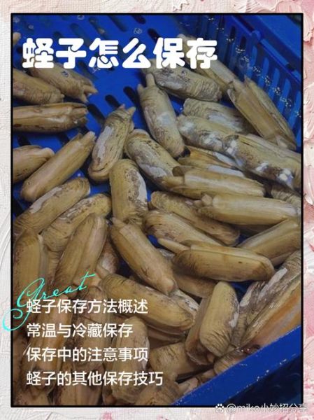 蛏子怎么读音_蛏子是什么意思-第3张图片-山城妙识