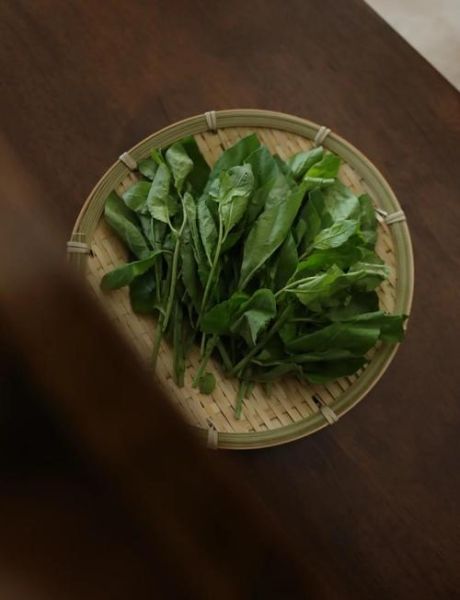 枸杞头炒鸡蛋怎么做_枸杞头炒鸡蛋的功效与禁忌-第2张图片-山城妙识