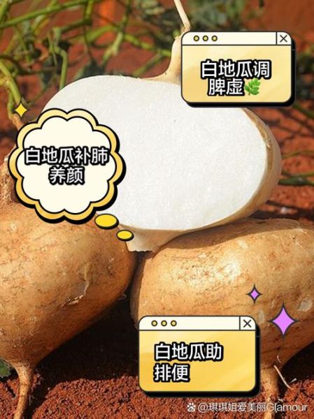 地瓜的营养价值及功效_吃地瓜能减肥吗-第1张图片-山城妙识