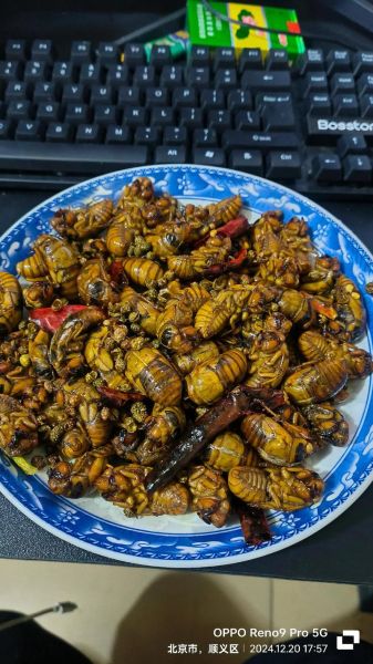 蝉菜怎么做好吃_蝉菜营养价值高吗-第3张图片-山城妙识