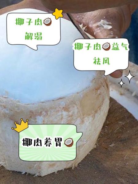 椰子肉怎么吃_椰子肉的功效与作用-第1张图片-山城妙识
