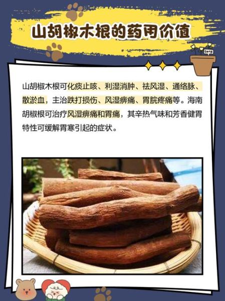 山胡椒根的功效与作用_山胡椒根怎么吃效果好-第1张图片-山城妙识