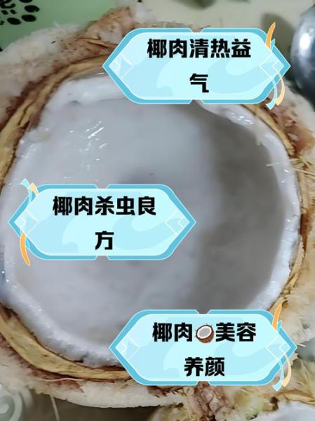 椰子肉怎么吃_椰子肉的功效与作用-第2张图片-山城妙识